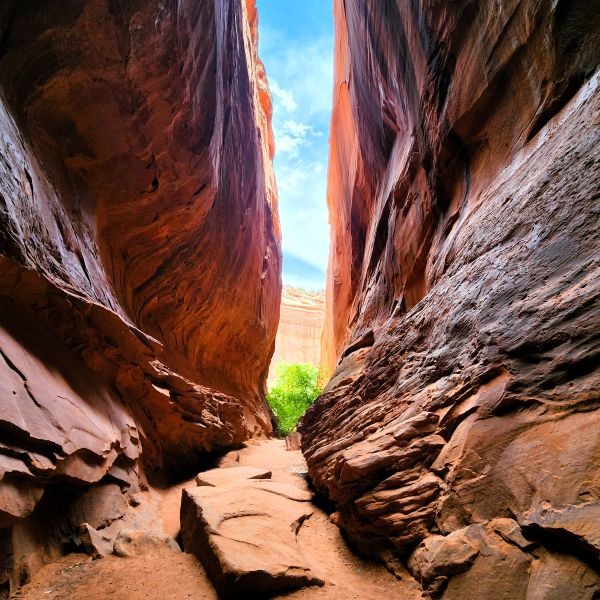 Utah Scenic Byway 12: An Epic Road Trip Adventure - Wander 4 Adventure
