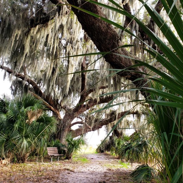 Explore The Outdoors in Beautiful Central Florida - Wander 4 Adventure