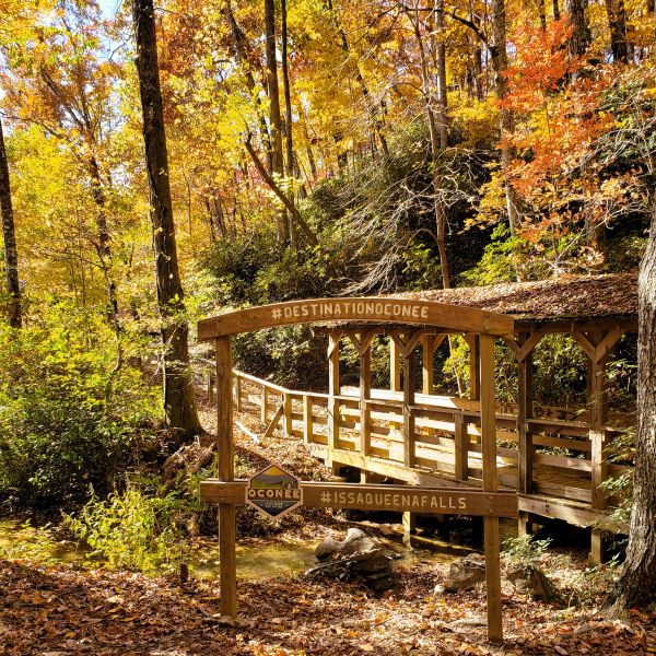 Fall Family Hiking at Stumphouse Park - Wander 4 Adventure